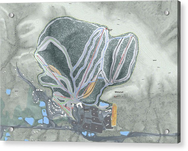 Whitetail Ski Trail Map - Acrylic Print - Powderaddicts